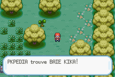 Bois Baies — Poképédia