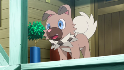 Professeur Euphorbe/Pokémon, la série — Poképédia