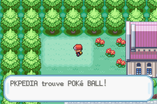 Argenta — Poképédia