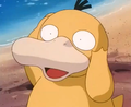 EP256 — Poképédia