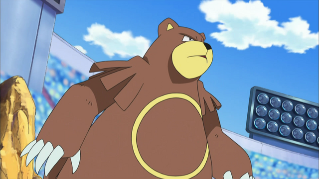 Ursaring de Paul — Poképédia