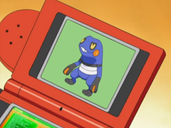 Cradopaud — Poképédia