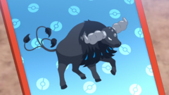 Tauros de Paldea — Poképédia