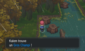 Route 14 (Kalos) — Poképédia