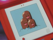 Triopikeur — Poképédia