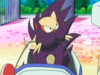 Agent Jenny — Poképédia