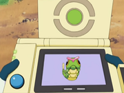 Chenipan — Poképédia