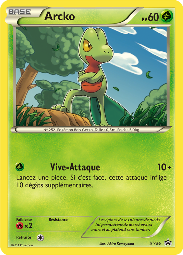 Arcko (Promo XY 36) — Poképédia
