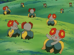 EP239 — Poképédia