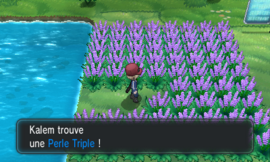 Route 21 (Kalos) — Poképédia