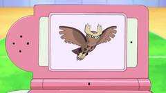 Noarfang — Poképédia