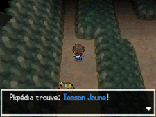 Chemin Enfoui — Poképédia