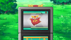 Darumarond — Poképédia