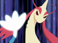 Queue de Fer — Poképédia