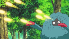 Balle Graine — Poképédia