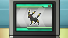 Noctali — Poképédia