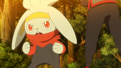 LV019 — Poképédia