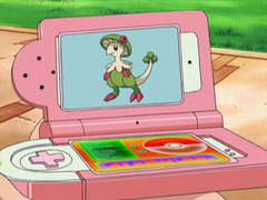 Chapignon — Poképédia