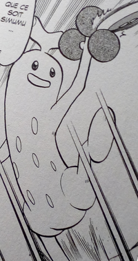 Or (Pocket Monsters Special) — Poképédia