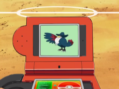 Corboss — Poképédia