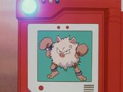 Colossinge — Poképédia