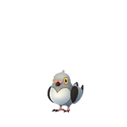 Poichigeon/Imagerie — Poképédia