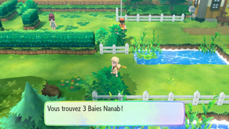 Route 25 (Kanto) — Poképédia