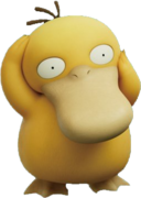 Psykokwak/Imagerie — Poképédia