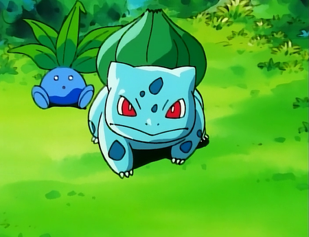 Bulbizarre de Sacha — Poképédia