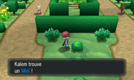Route 4 (Kalos) — Poképédia