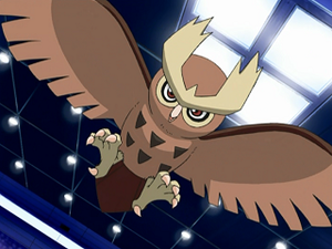 Noarfang — Poképédia