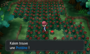 Route 20 (Kalos) — Poképédia