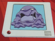 Grotadmorv — Poképédia