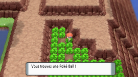 Route 211 — Poképédia