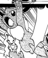 Marion — Poképédia