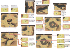 Désert Haina — Poképédia