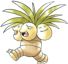 Noadkoko/Imagerie — Poképédia