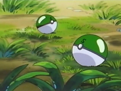 Safari Ball — Poképédia