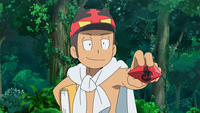 Professeur Euphorbe/Pokémon, la série — Poképédia