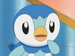 DP133 — Poképédia