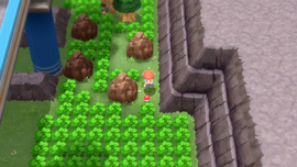 Route 206 — Poképédia