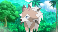 Lougaroc — Poképédia