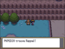 Route 25 (Kanto) — Poképédia