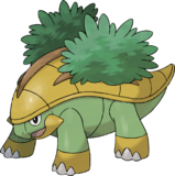 Tortipouss — Poképédia