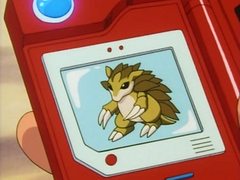 Sablaireau — Poképédia