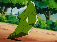 Chrysacier — Poképédia