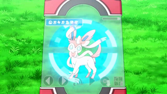 Nymphali — Poképédia