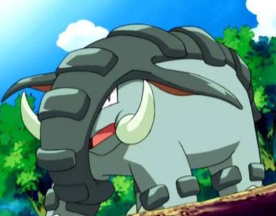 Donphan de Sacha — Poképédia