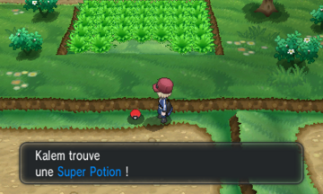 Route 22 (Kalos) — Poképédia