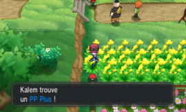 Route 7 (Kalos) — Poképédia